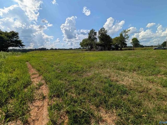 386 Morris Rd, Toney, AL 35773