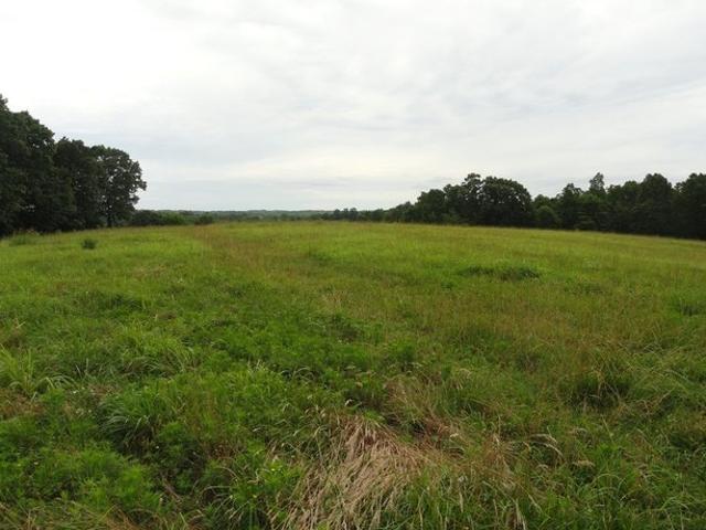 386 Reedville Rd, Saint Joe, AR 72675