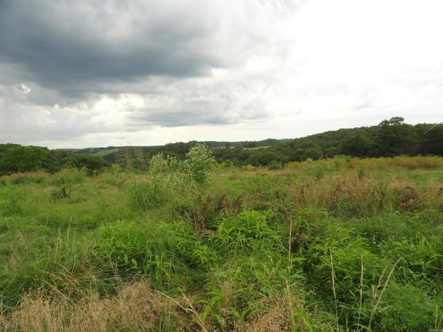 386 Reedville Road