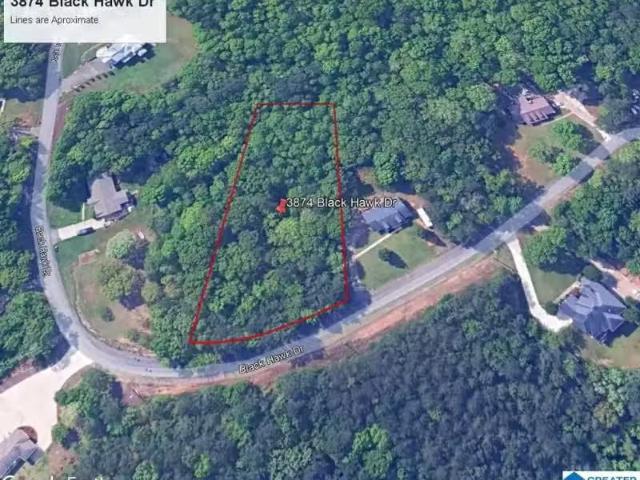 3874 BLACK HAWK DR # 2, BESSEMER, AL 35022