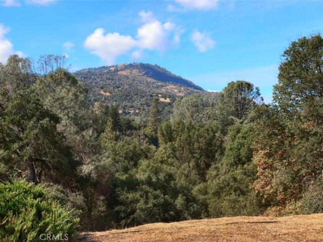 38788 Goldenrod Lane