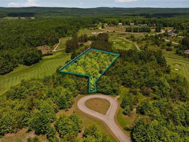 3870 Redlands Mesa, Harbor Springs, MI 49740