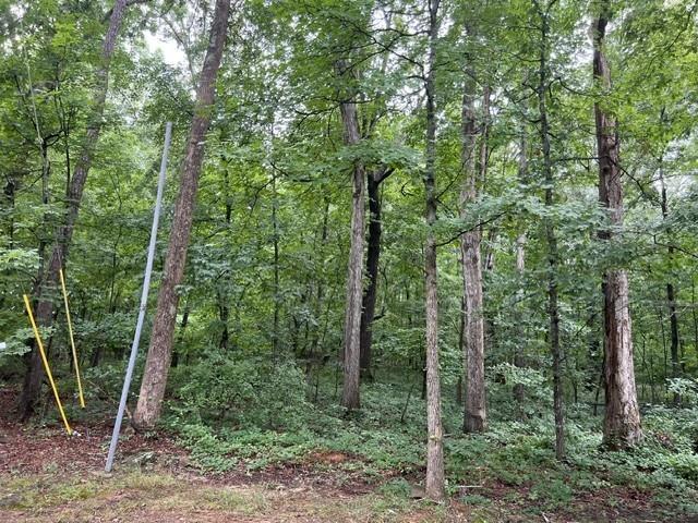 3871 Martin Dr, Ellenwood, GA 30294 | MLS #7728