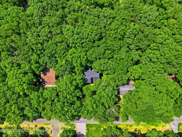 387 Canterbury Road