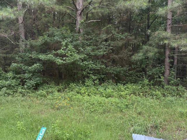 387 Hwy 323 S