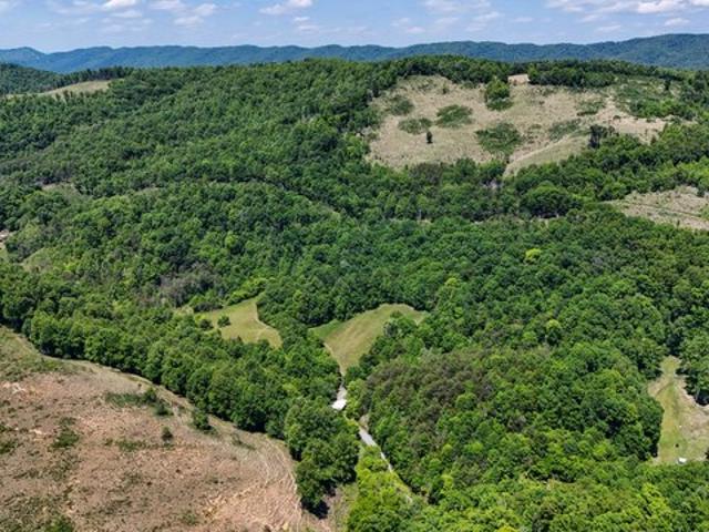 3885 Hickory Hill Rd, Blackwater, VA 24221