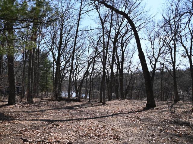 38869 Odin Court