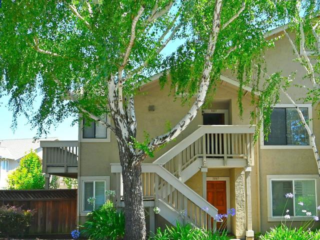 3889 Crow Canyon Rd