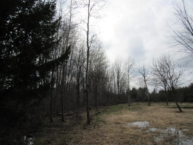 3889 Dalson Road