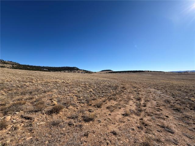 388 446 Cohonina Rd, Hartsel, CO 80449 | MLS #S1067
