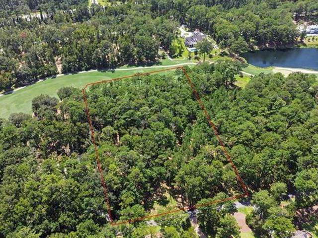 388 Belted Kingfisher Ln, Richmond Hill, GA 31324