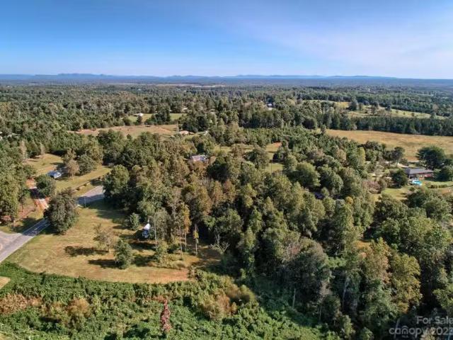 388 Sandy Plains Rd, Tryon, NC 28782 MLS 4028399