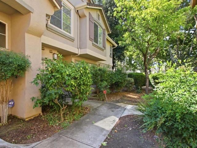 388 Ribbonwood Avenue