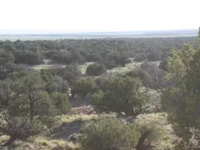 #388 Woodland Valley Ranch, Saint Johns, AZ 85936 MLS 679.
