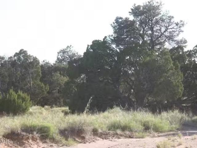 388 Woodland Valley Ranch, Saint Johns, AZ 85936 MLS 251453