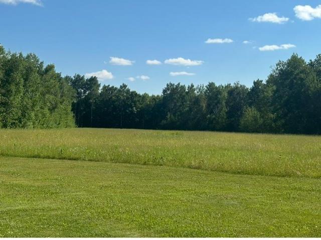 38949 Nature Ave, Aitkin, MN 56431