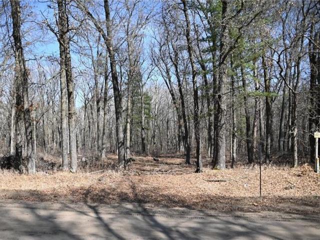 38970 Odin Ct, Browerville, MN 56438