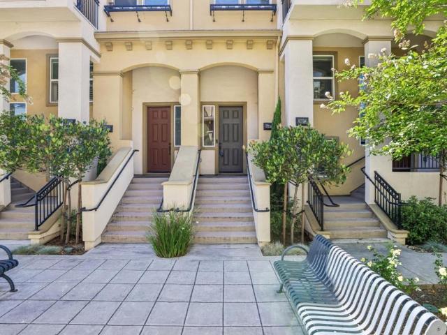 38975 Primula Terrace