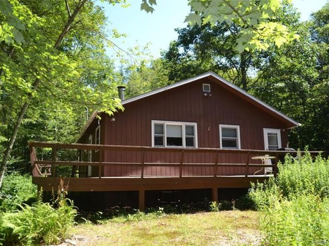 3897 Campbell Mountain Rd, Downsville, NY 13755