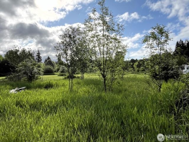 3898 State Route 6, Chehalis, WA 98532 | MLS #2410