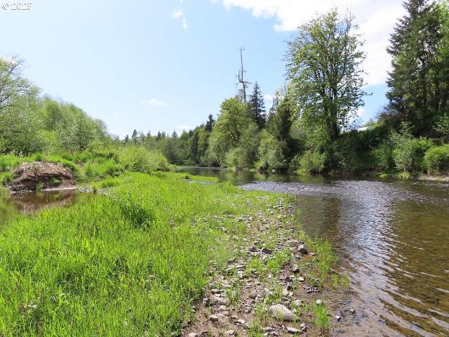 3898 SR 6, Chehalis, WA 98532 | MLS #460776