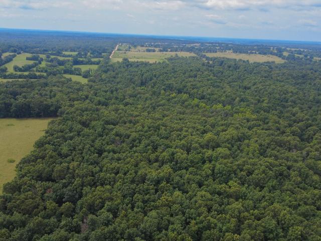 3899 County Road 304
