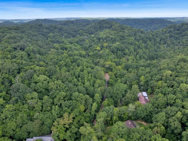 3899 Stevens Ln, Nashville, TN 37218 | MLS #2945
