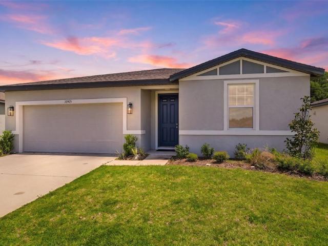 38905 Harlow Rose Dr, Zephyrhills, FL 33540 | MLS #TB8495