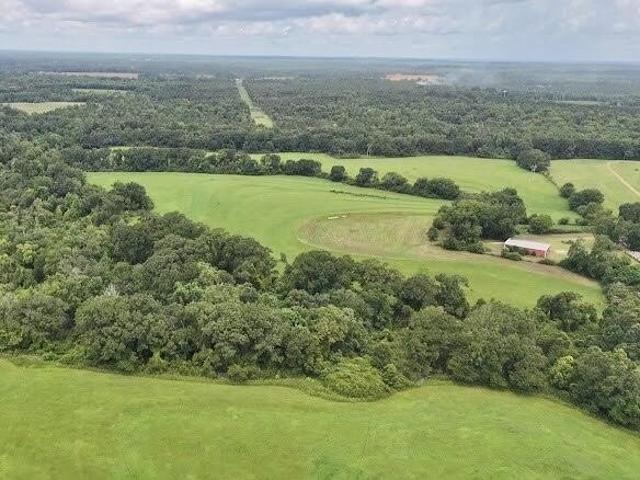 389 County Road 3316, Brundidge, AL 36010