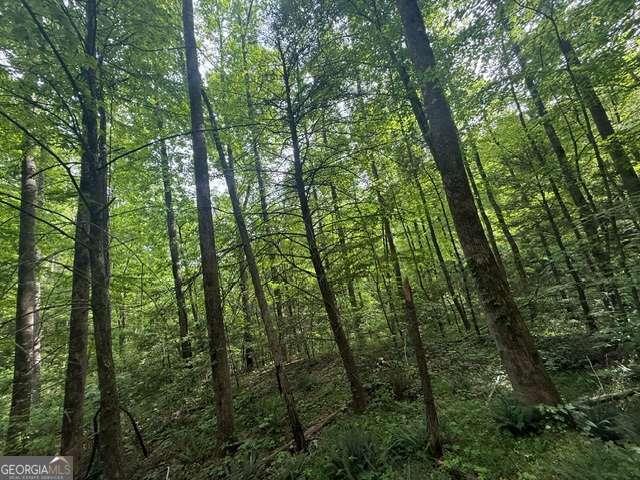389 Fox Trot TRACT B