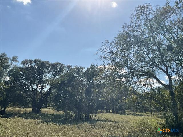 389 Hausmann Road
