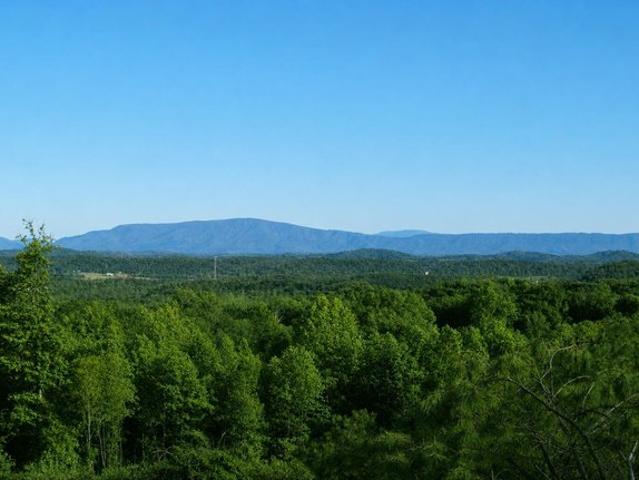 38.45 Acre Frontage Rd NW, Cleveland, TN 37312