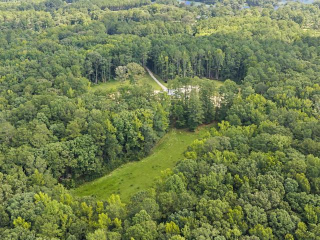 38.682 ACRES Btwn 446 & 478 Rising Star Rd