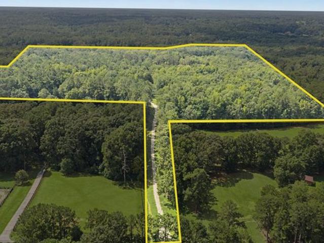 38.682 Acres Btwn 446 and 478 Rising Star Rd, Brooks, GA 30205