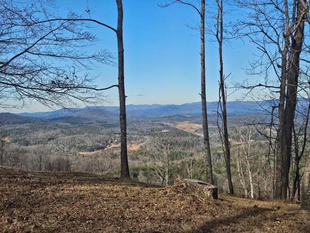 38 Trophy Buck Pt, Murphy, NC 28906 | MLS #420954