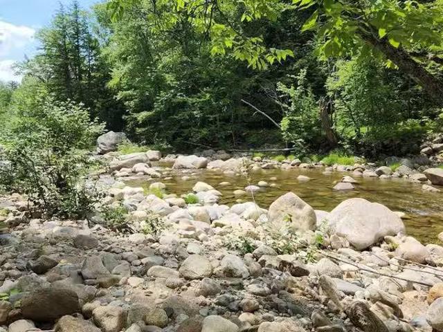 38 Waterfront Road, Bartlett, NH 03812 656761904
