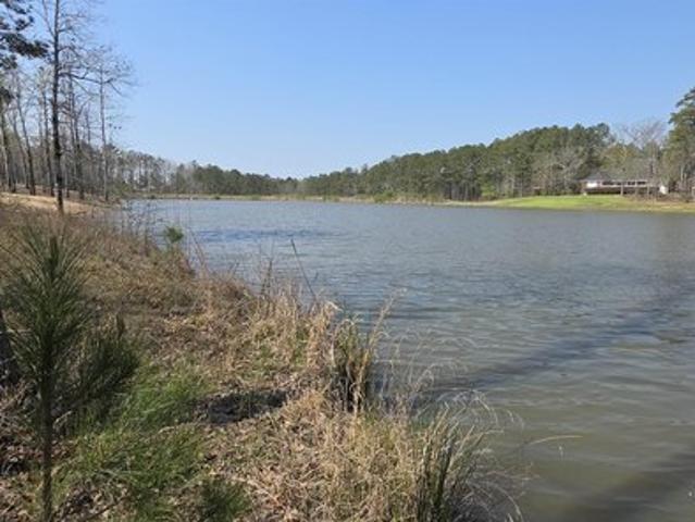 38 White Oak Cir, Centre, AL 35960