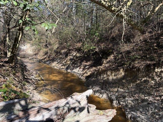 38 Ac / Indian Hill Rd, Richton, MS 39476
