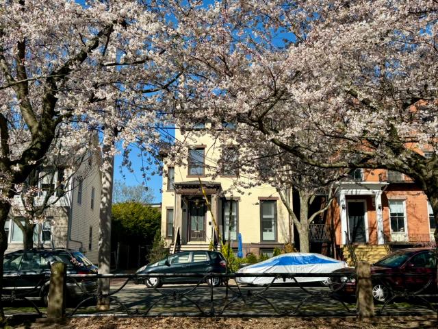 38 Academy St, Unit 1, New Haven, CT 06511 | MLS #24132 | Compass