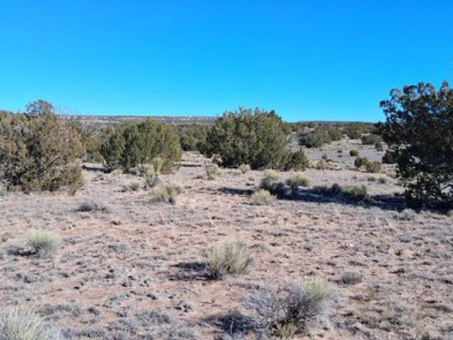 38 Acres 24 County Road N6578 Unit 857, Saint Johns, AZ 85936