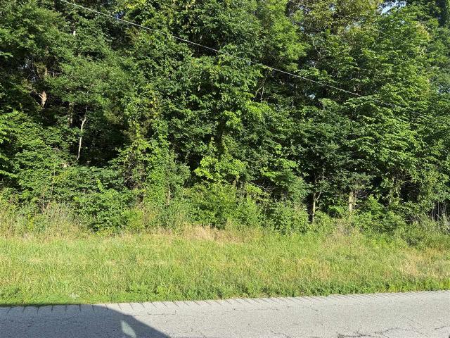 38+/ acres Boiling Springs Road