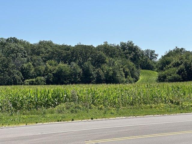 38 Acres Church Rd, Marengo, IL 60152