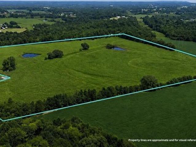 38 Acres Hershell Jones Rd, Arab, AL 35016