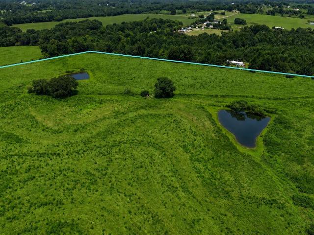 38 Acres Hershell Jones Road
