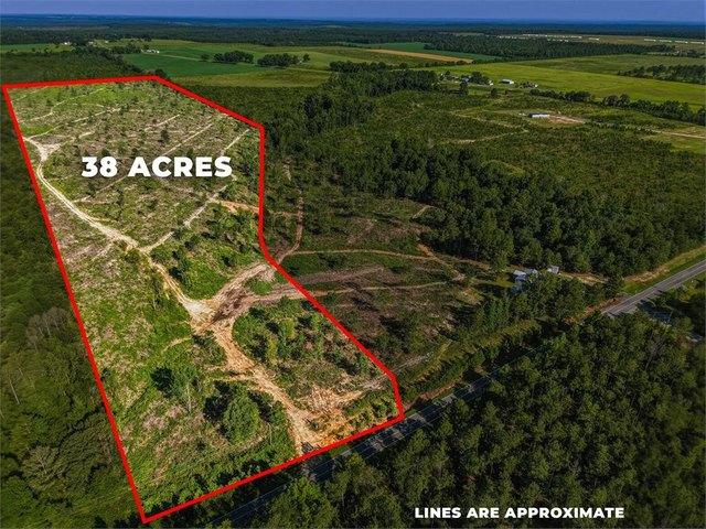 38 Acres N GA Highway 0240 Conn, Mauk, GA 31058