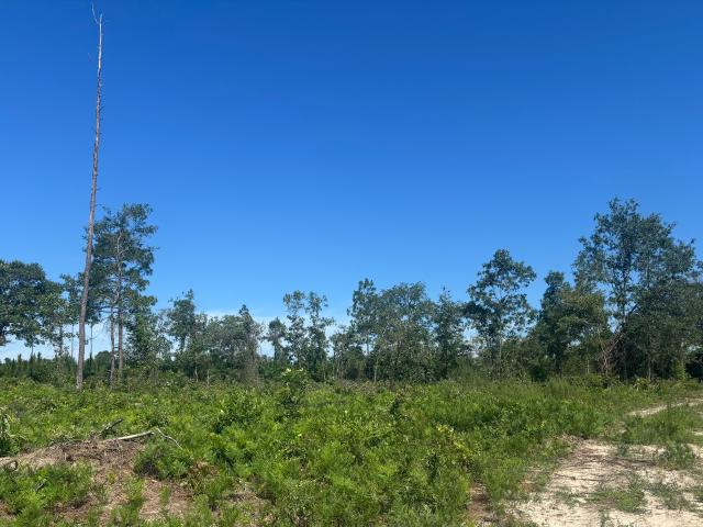 38 acres n ga highway 240 n connector