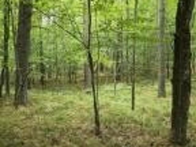 38 Algonquin Ln, Jay, NY 12941