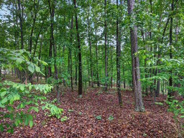 38 Belleza Trce, Hot Springs Village, AR 71909