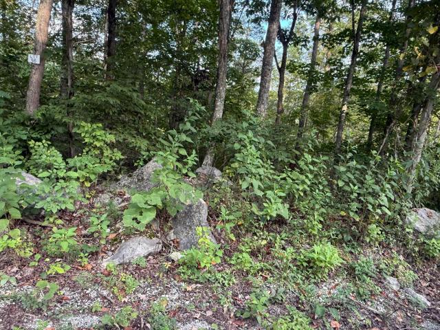 38 Buck Creek Circle