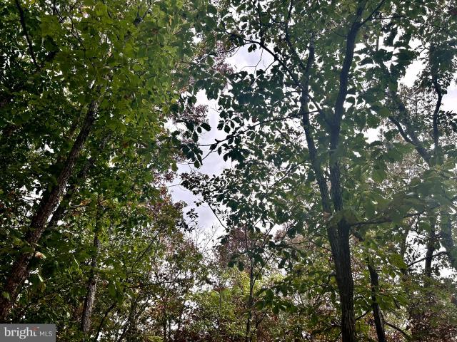 38 Conservation Dr, Hedgesville, WV 25427 | MLS #WVBE2044 | Compass